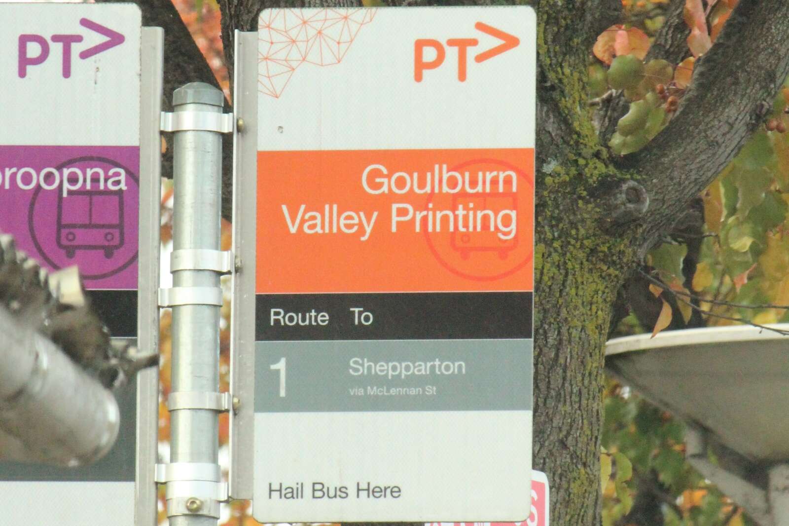 $2-a-day public transport cap proposed | Shepparton News