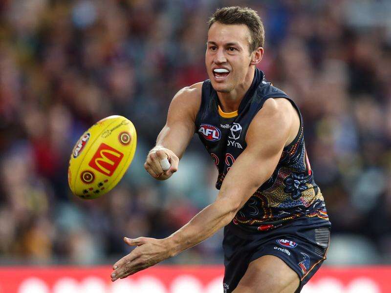 Crows players deflated by Doedee's knee injury: Nicks | Dairy News ...