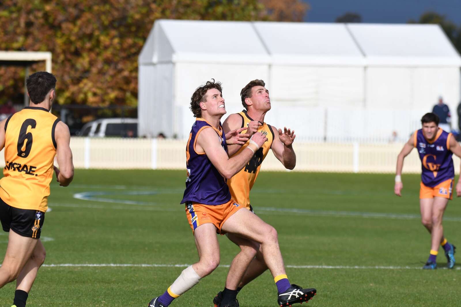 GVL versus O&M Data | Who to watch out for | Seymour Telegraph