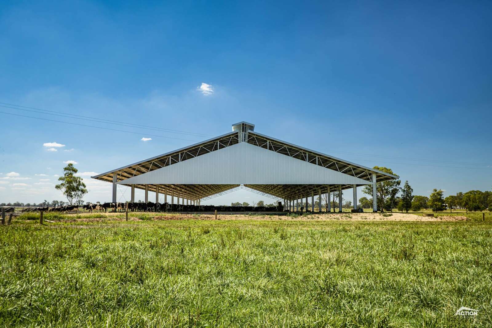 Smart barn design for future freestalls | Dairy News Australia