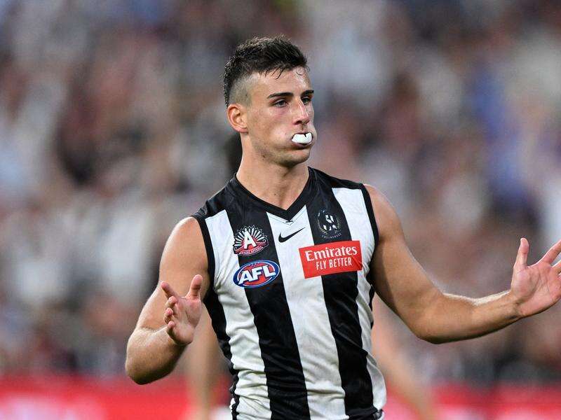 Collingwood bracing for tight Daicos tag from Adelaide | Riverine Herald
