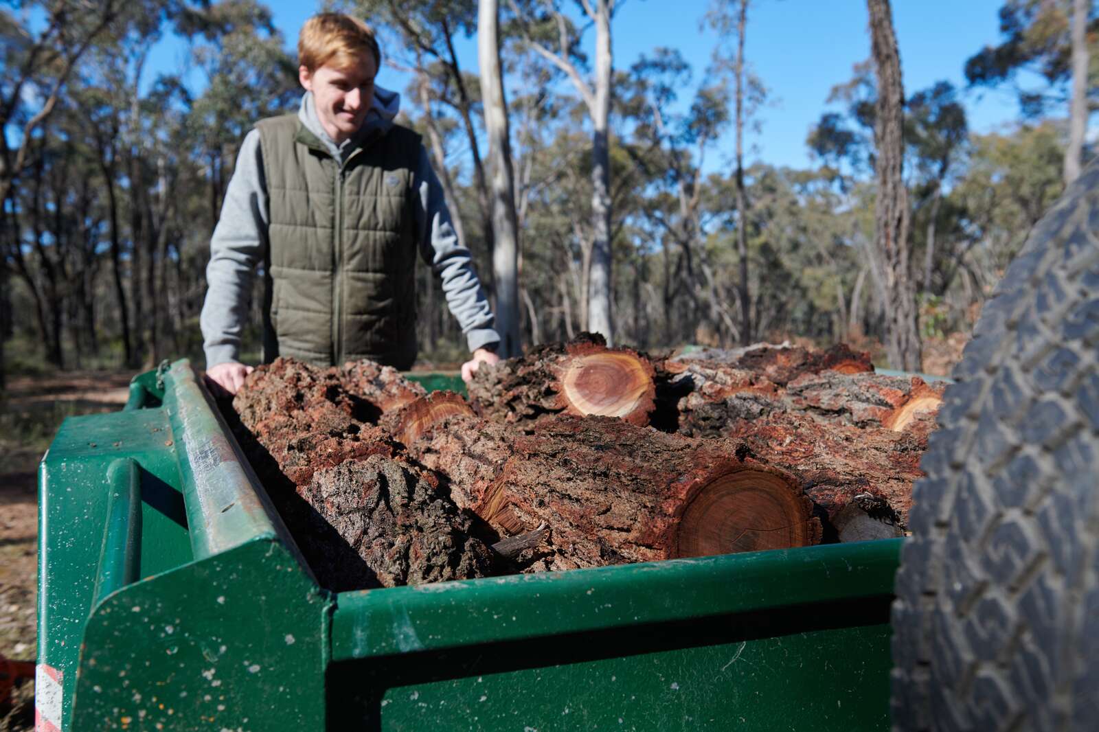 Firewood collection season opens | Seymour Telegraph