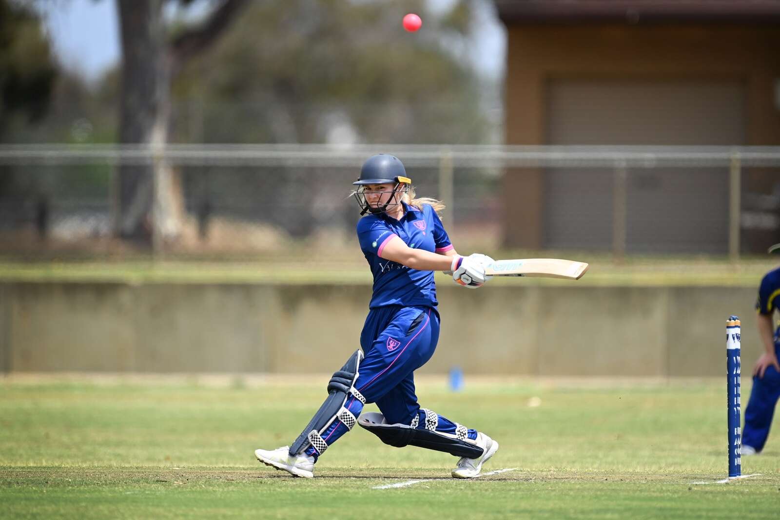 Around the Region | Cats redeem team caps undefeated campaign | Country ...