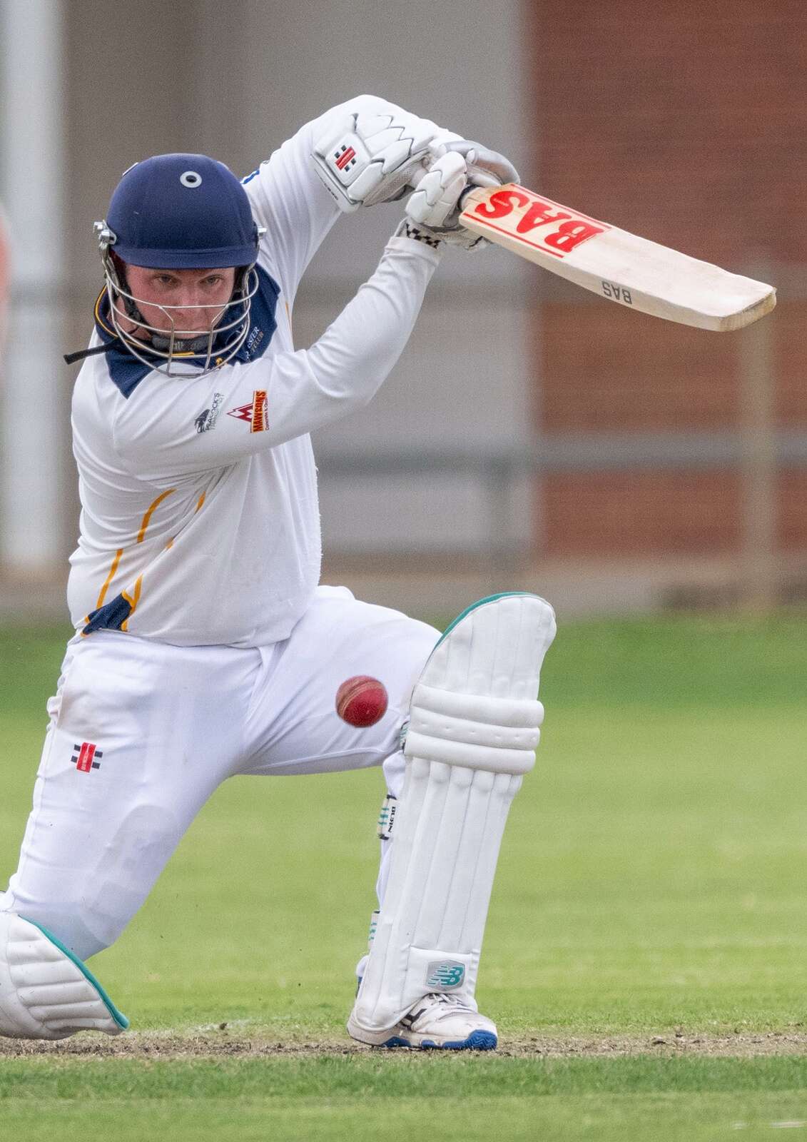 The Blues may be bottom of the ladder, but they’re giving Rochy a red ...