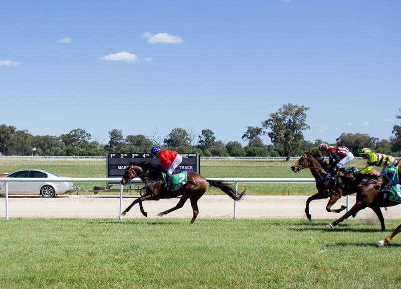 Cup eve racing success | Corowa Free Press