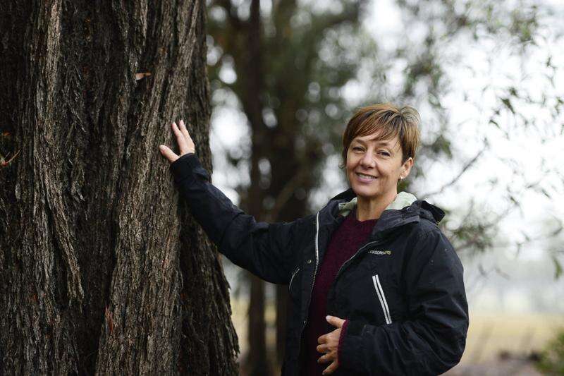 Louise Costa continues decades-long fight to preserve trees | Riverine ...