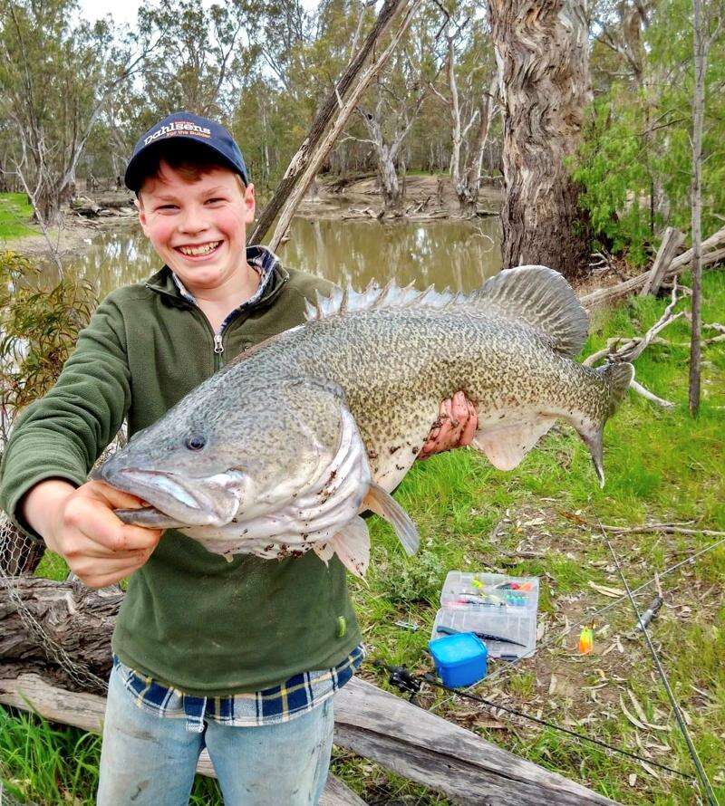 Westy's Brag Mat: Last-minute flurry before Murray Cod season ended | Corowa Free Press