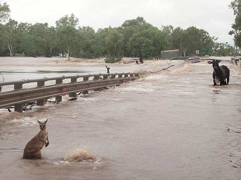 Flood-ruined WA bridge to be rebuilt six times stronger | Dairy News ...