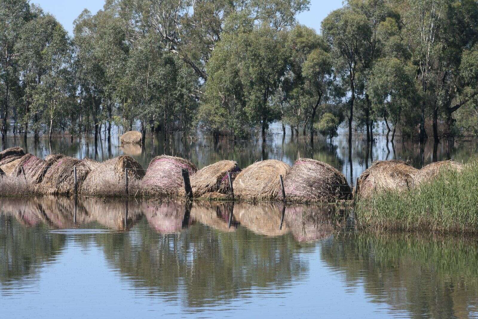 Extra flood help | Seymour Telegraph