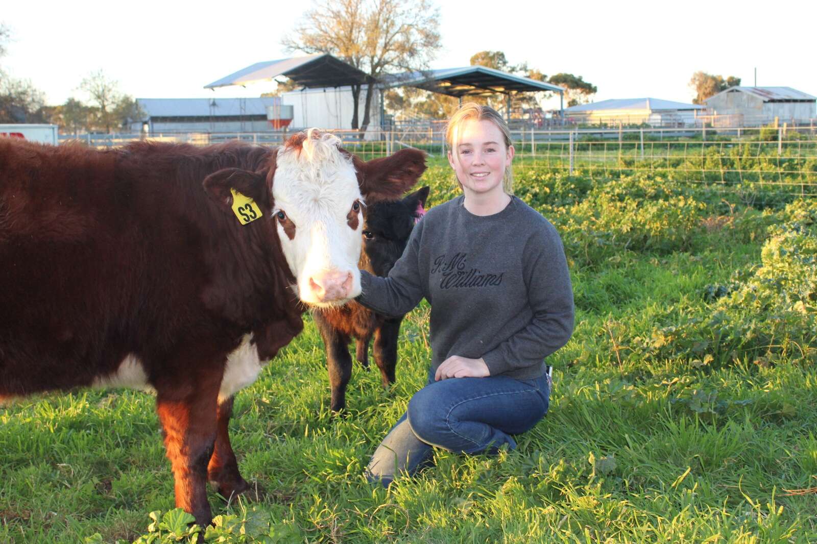 Dairy career within reach | Dairy News Australia