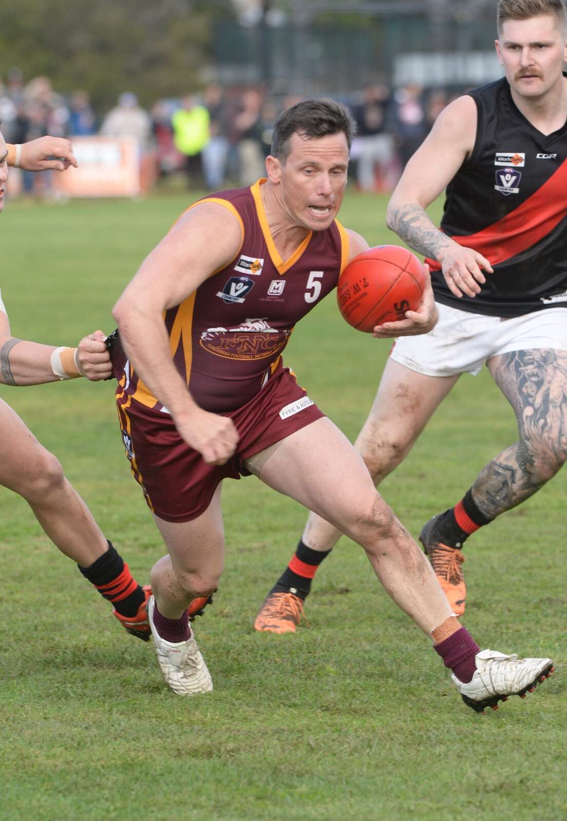 Bears claim 207-point scalp | Shepparton News