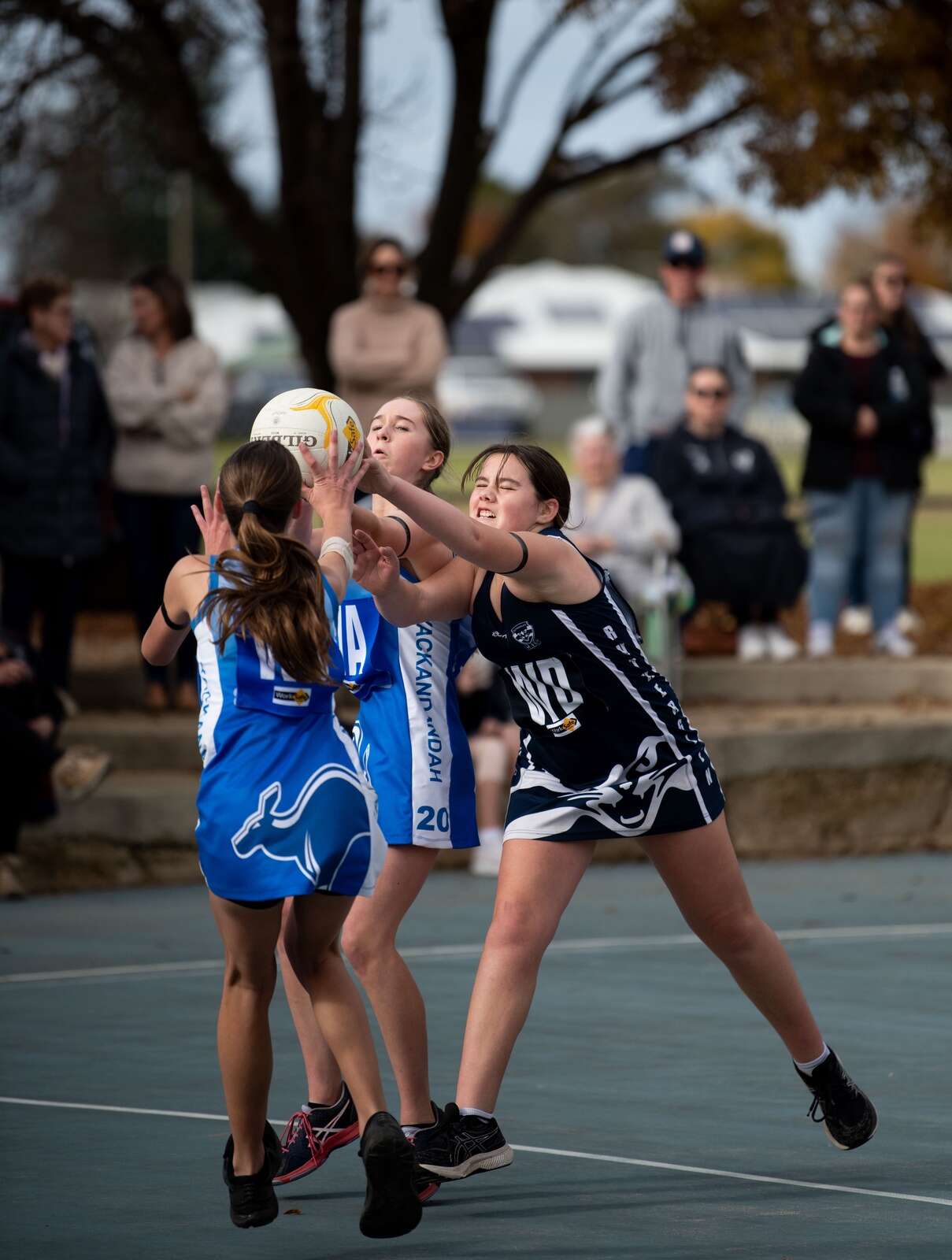 Rutherglen Cats Netball | Shepparton News