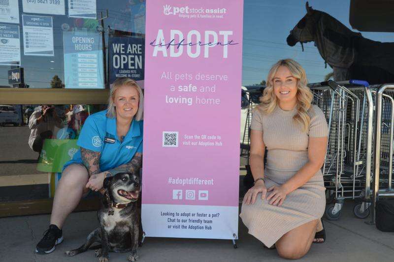 PETstock Shepparton gearing up for National Pet Adoption Month ...