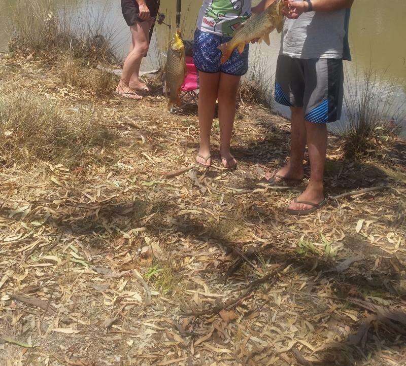 Leos’ successful carp muster | Yarrawonga Chronicle