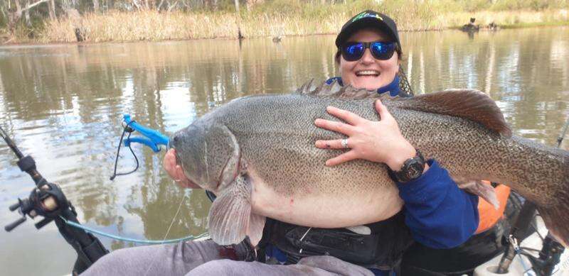 Avid angler lands giant Murray cod in Gunbower Creek | Riverine Herald