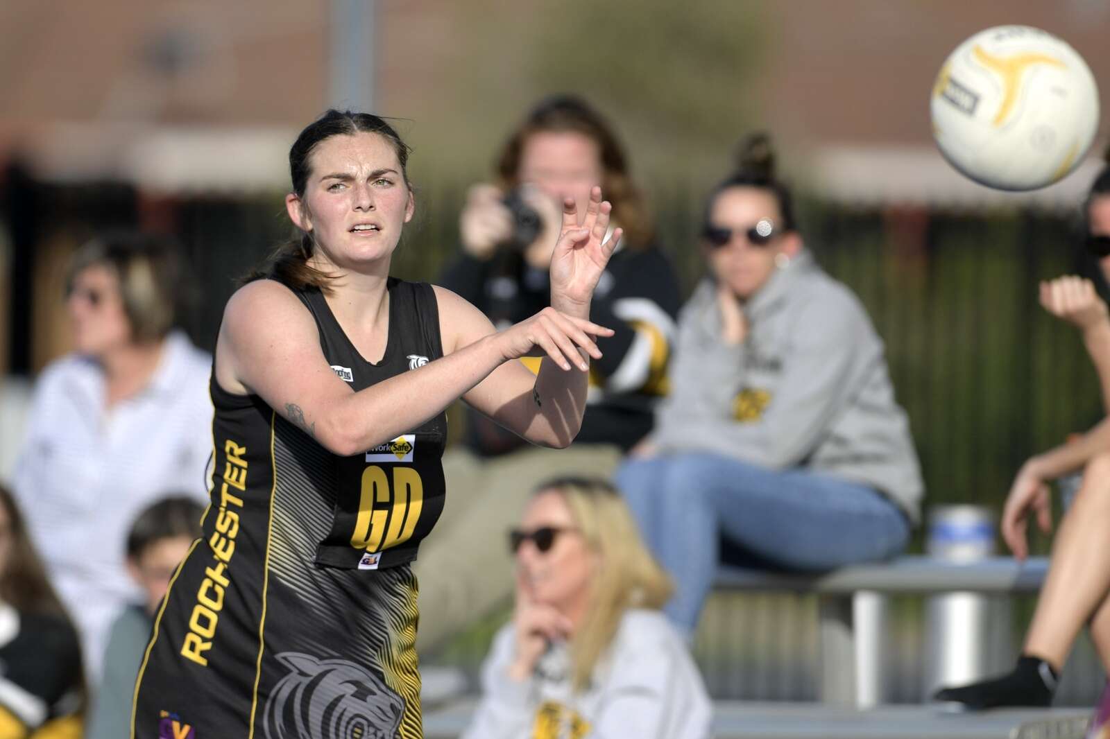 Tigers battle against Shepp Bears | Shepparton News