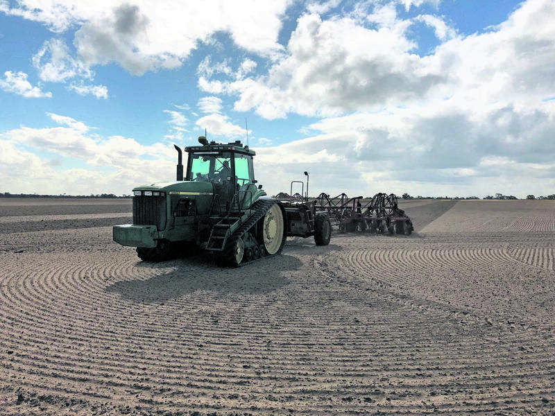 Sowing into a dry seed bed requires some forethought. | Dairy News ...