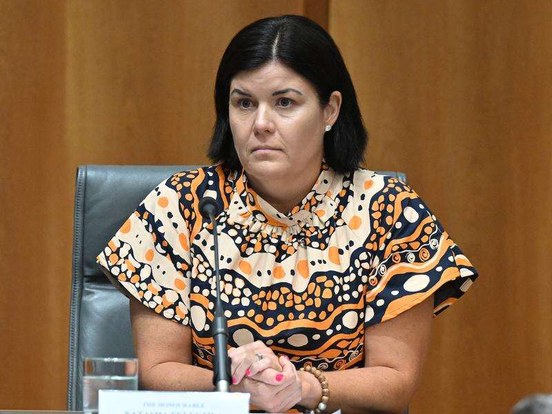 NT chief minister attacked with crepe at Darwin market | Shepparton News