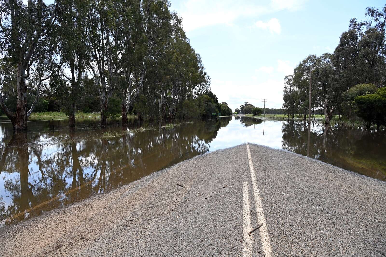 Nervous wait for Barmah ahead of flooding impact | Dairy News Australia