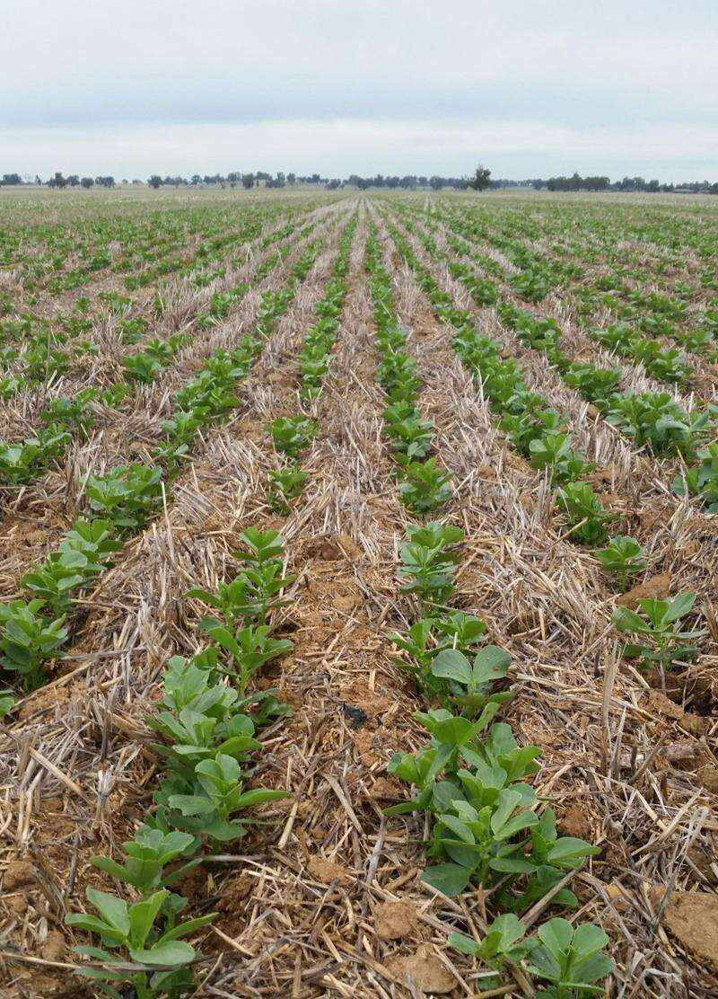 Digging for gold | Healthy Soils Competition is back | Shepparton News