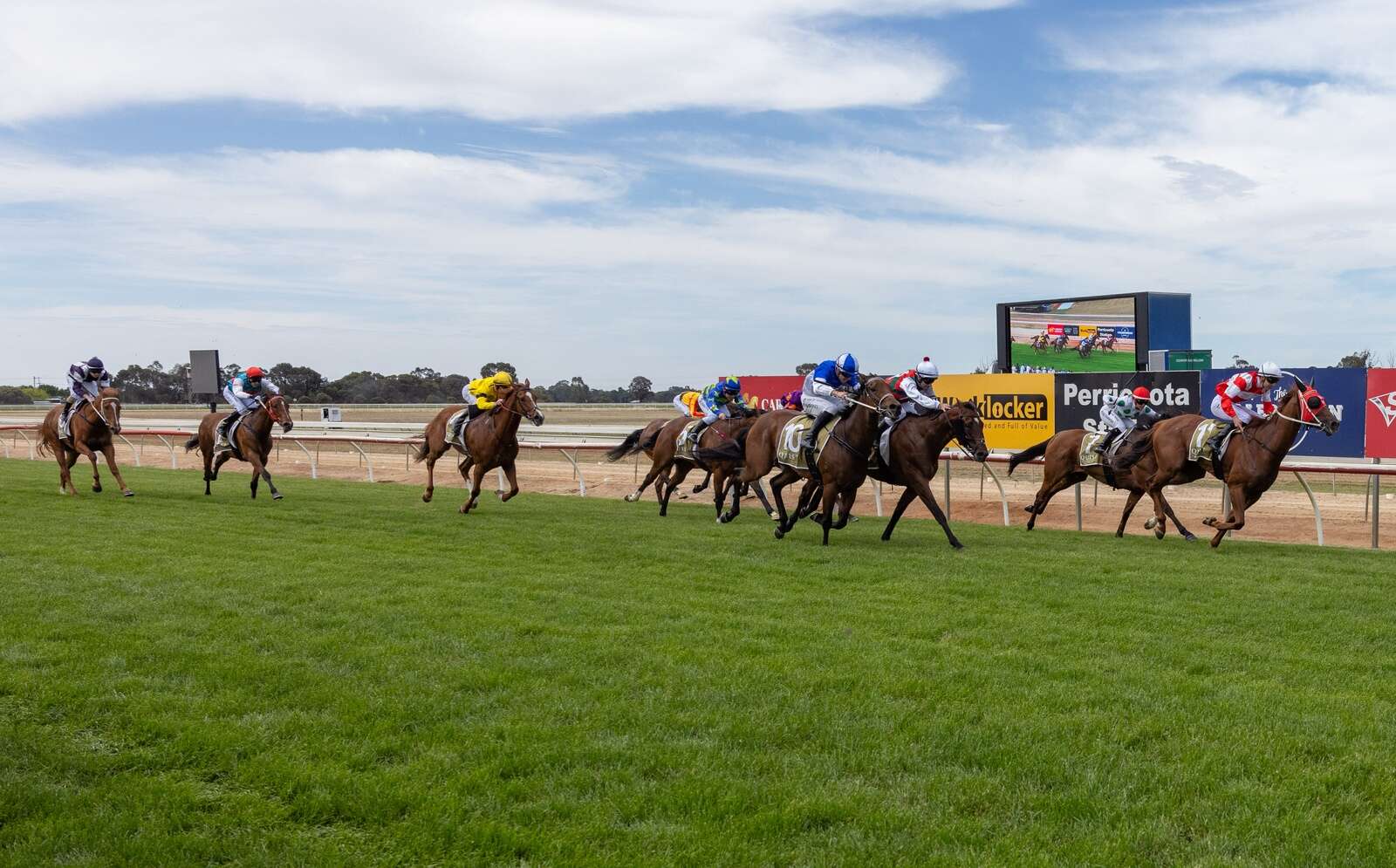Big day at the Echuca Racing Club | Shepparton News