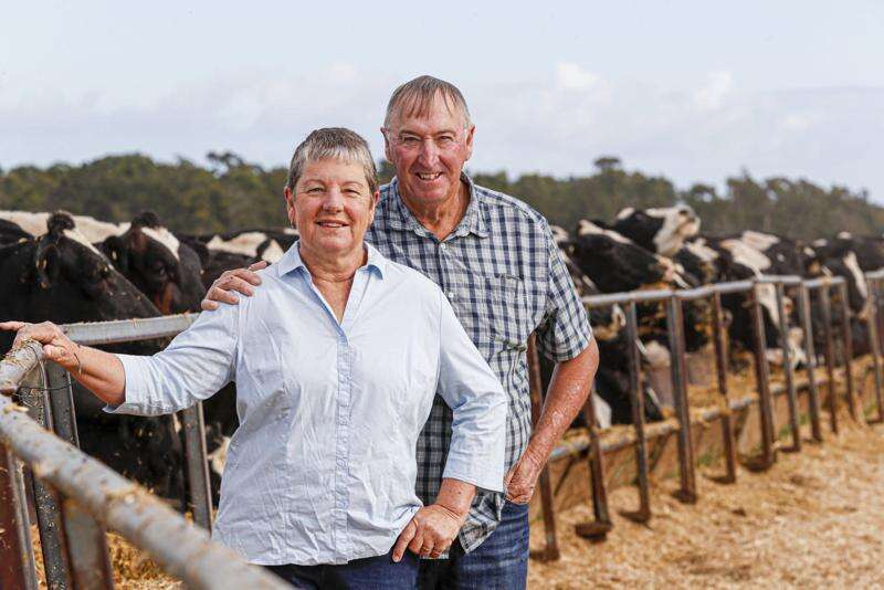 Genomics help to boost breeding in Western Australia | Dairy News Australia