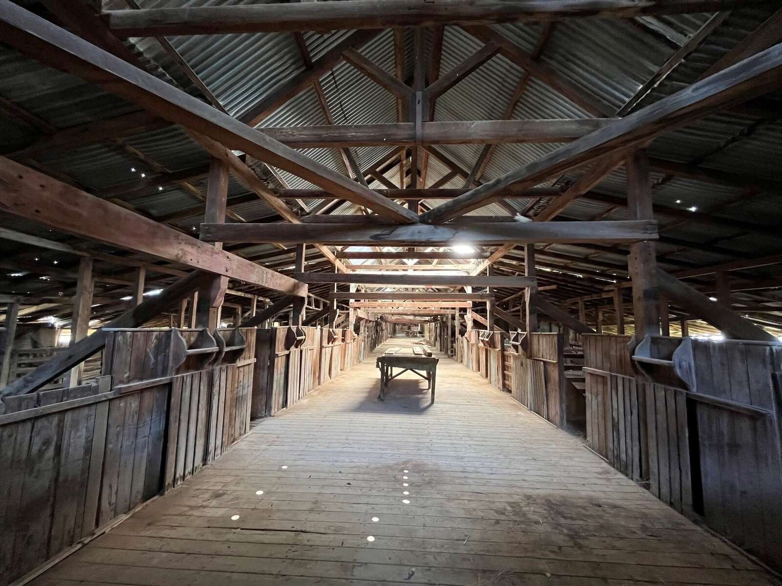 Time to celebrate Toganmain’s 150th | Dairy News Australia