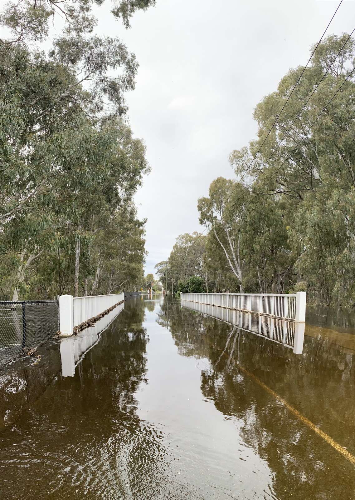 Prepare for isolation | Dairy News Australia