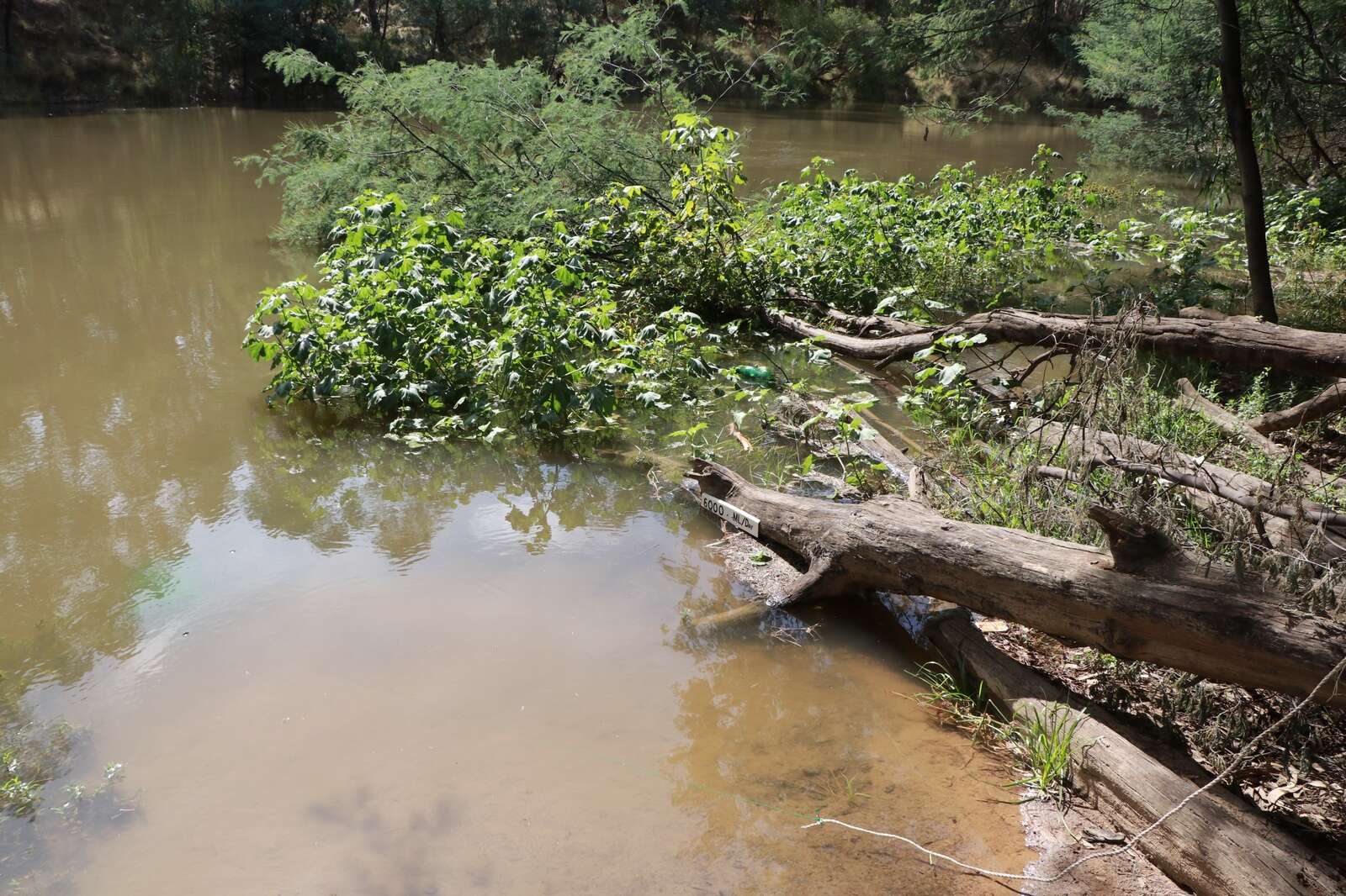 Another buyer enters water market | Country News