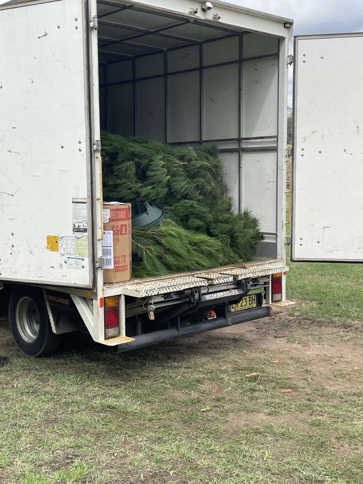 ‘Real’ Xmas trees thanks to Rotary | Shepparton News