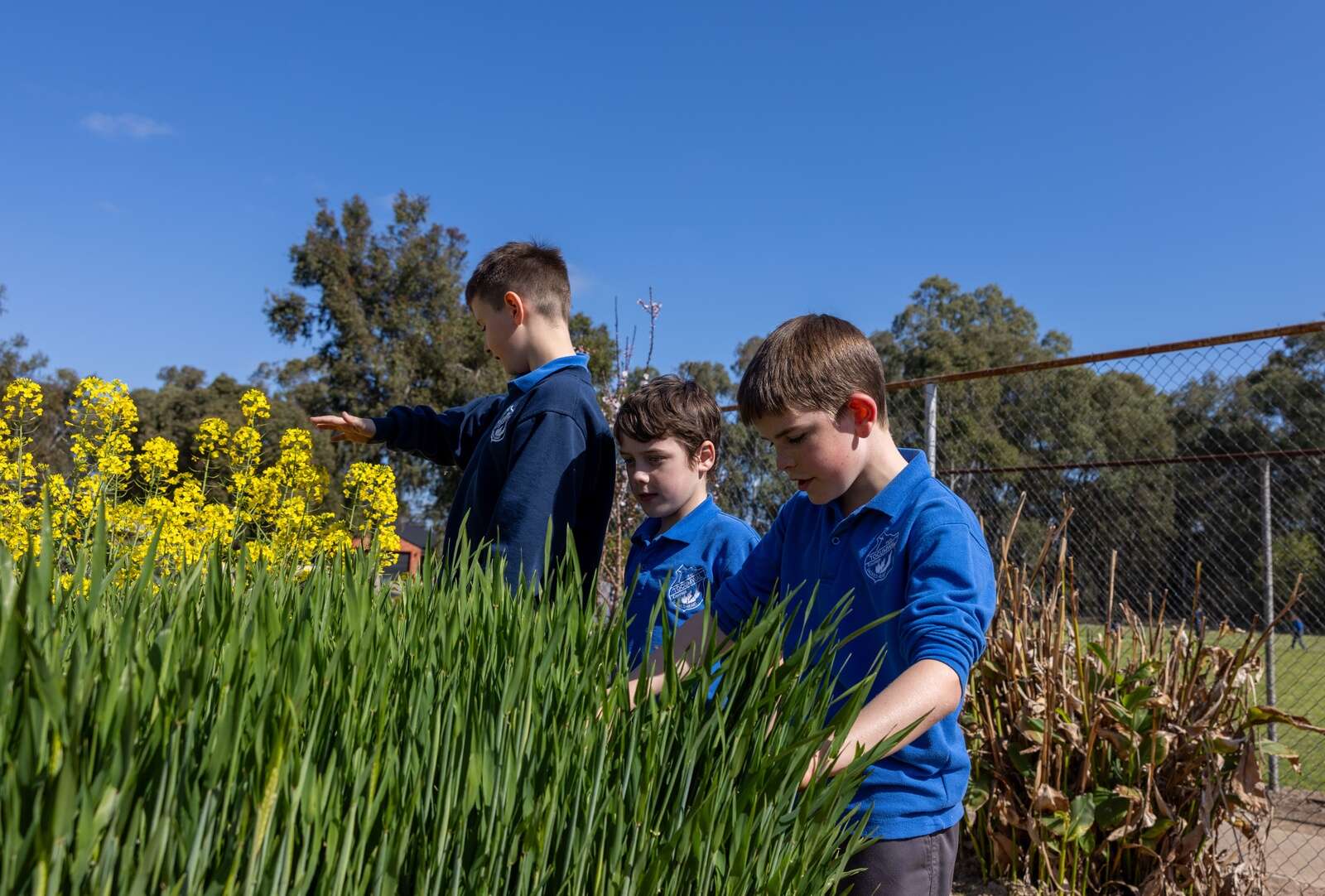 Sacred Heart welcomes all | Southern Riverina News