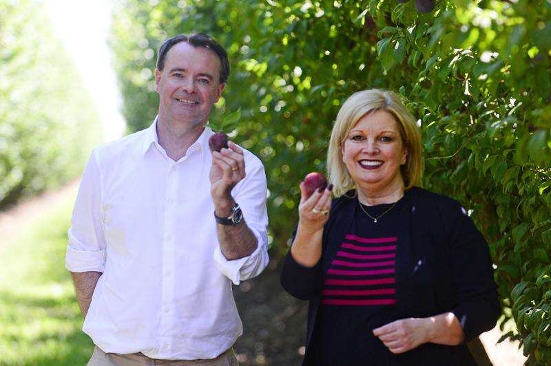 Wendy Lovell pushes for vital Shepparton infrastructure projects ...