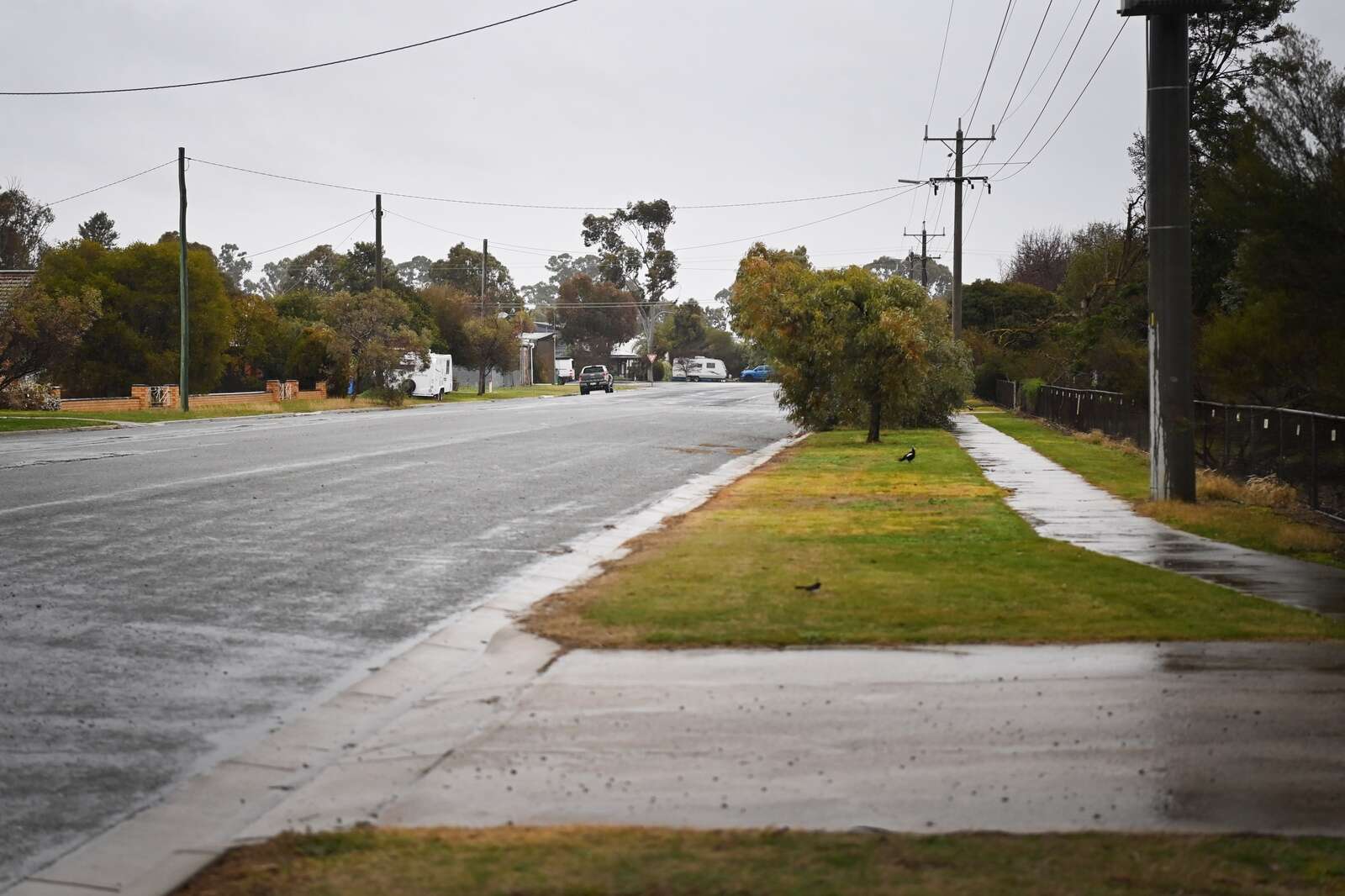 Action plan lays out ‘clear and achievable roadmap’ for Katandra West ...