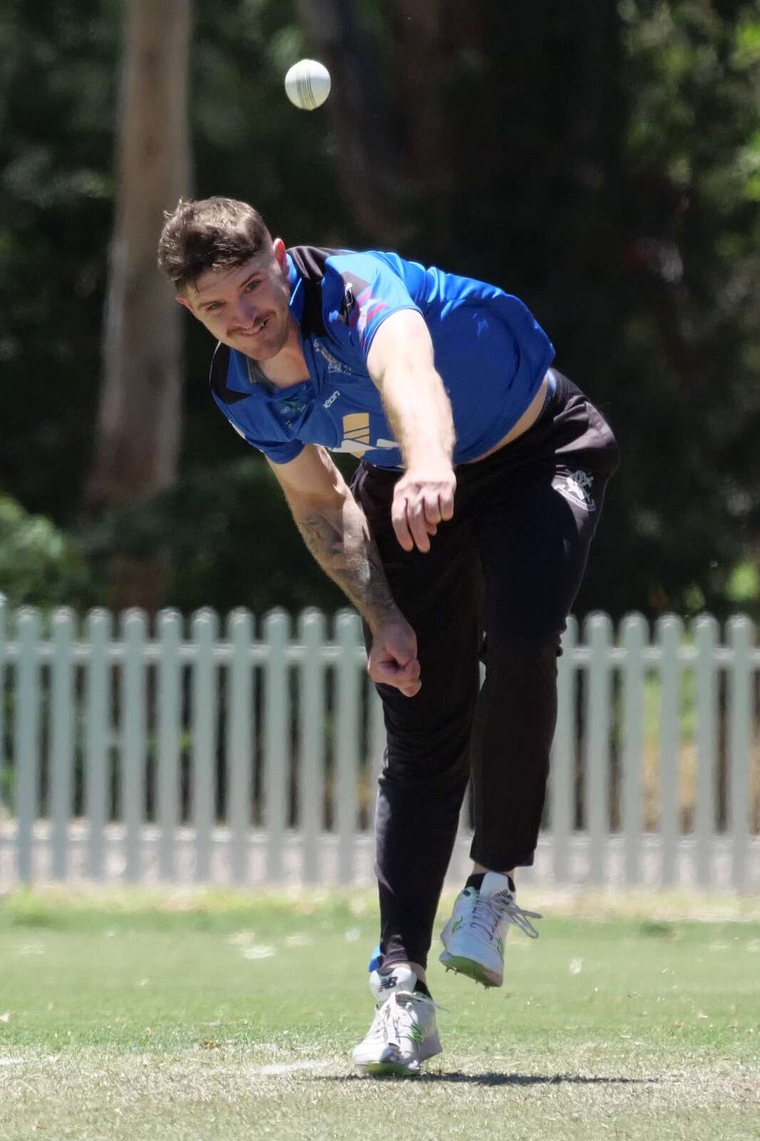 Cricket break then real challenge | Shepparton News