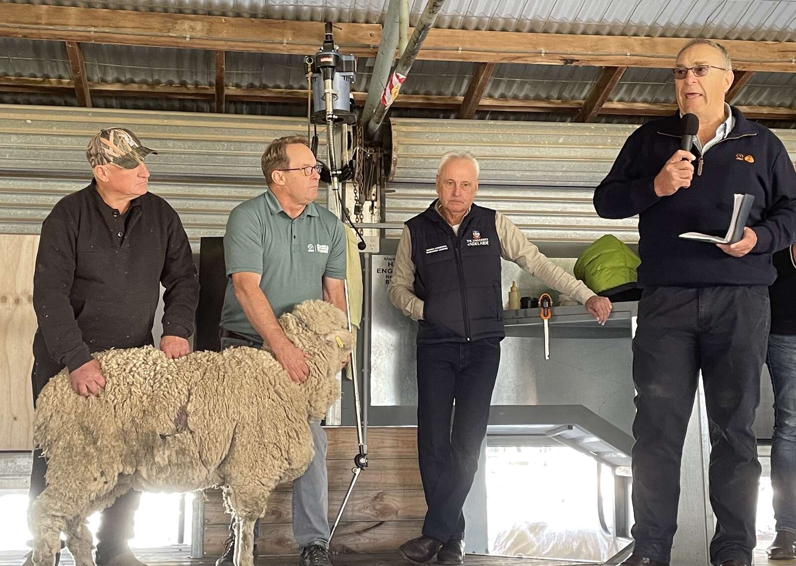 The future of wool harvesting | Country News