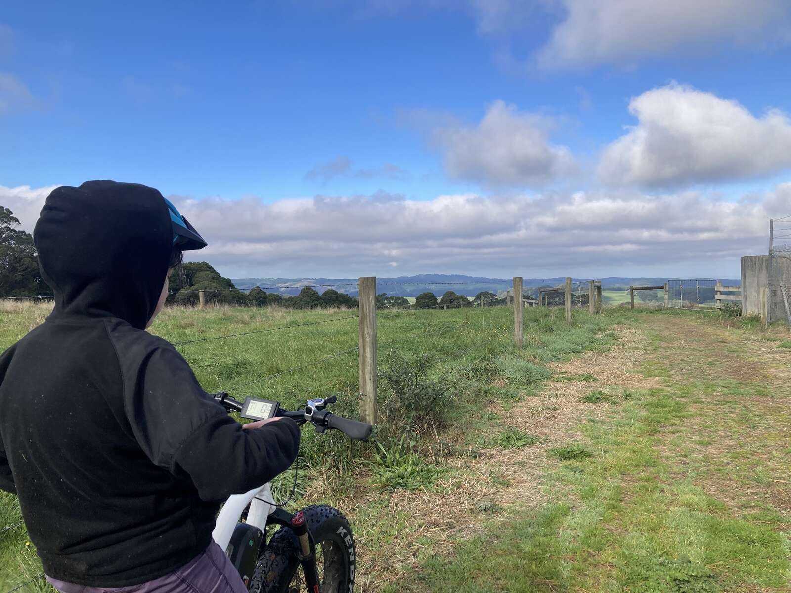 The Young and the Restless | Fanging through the forest | Country News