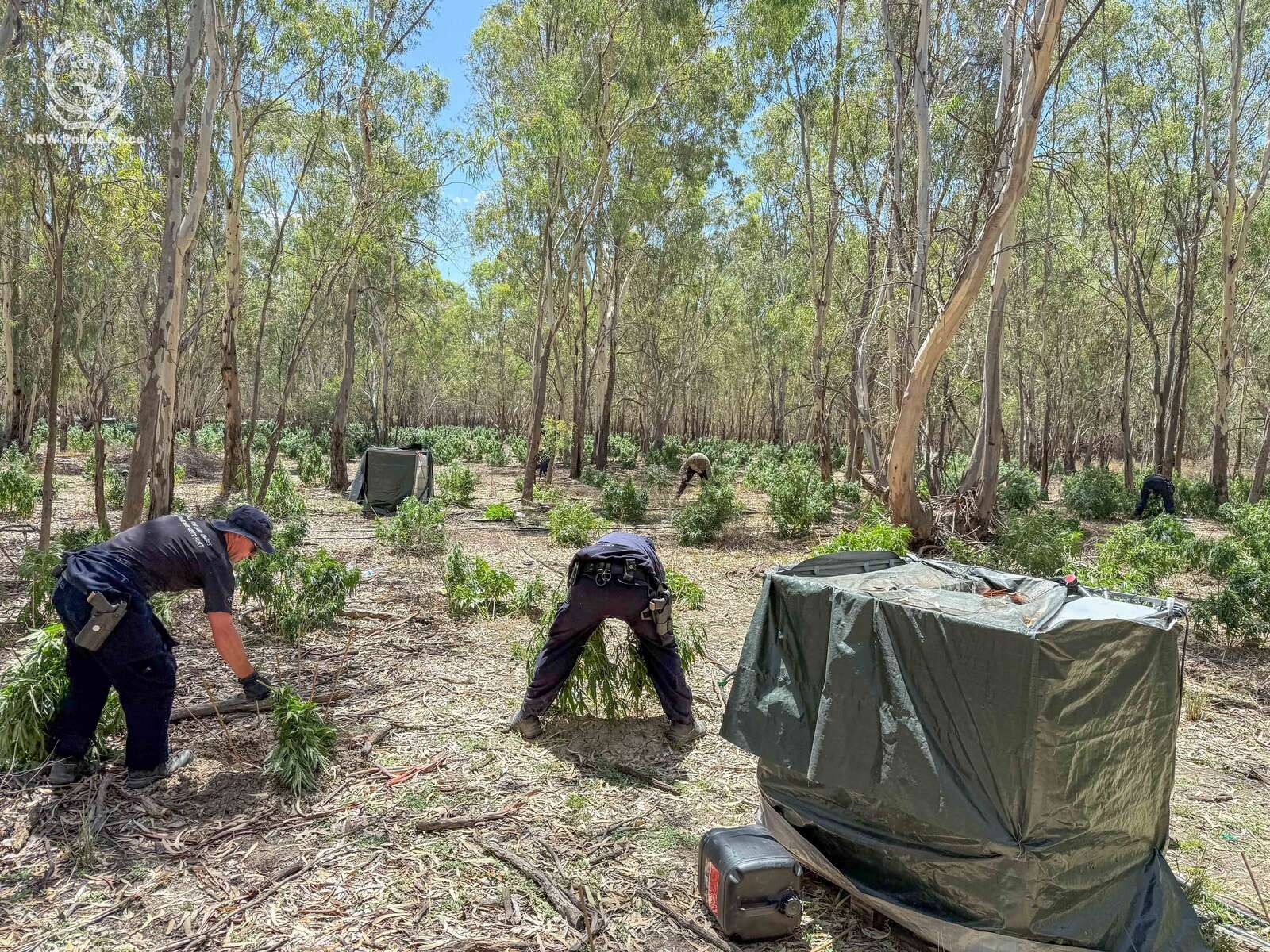 $10 million drug bust | Deniliquin Pastoral Times
