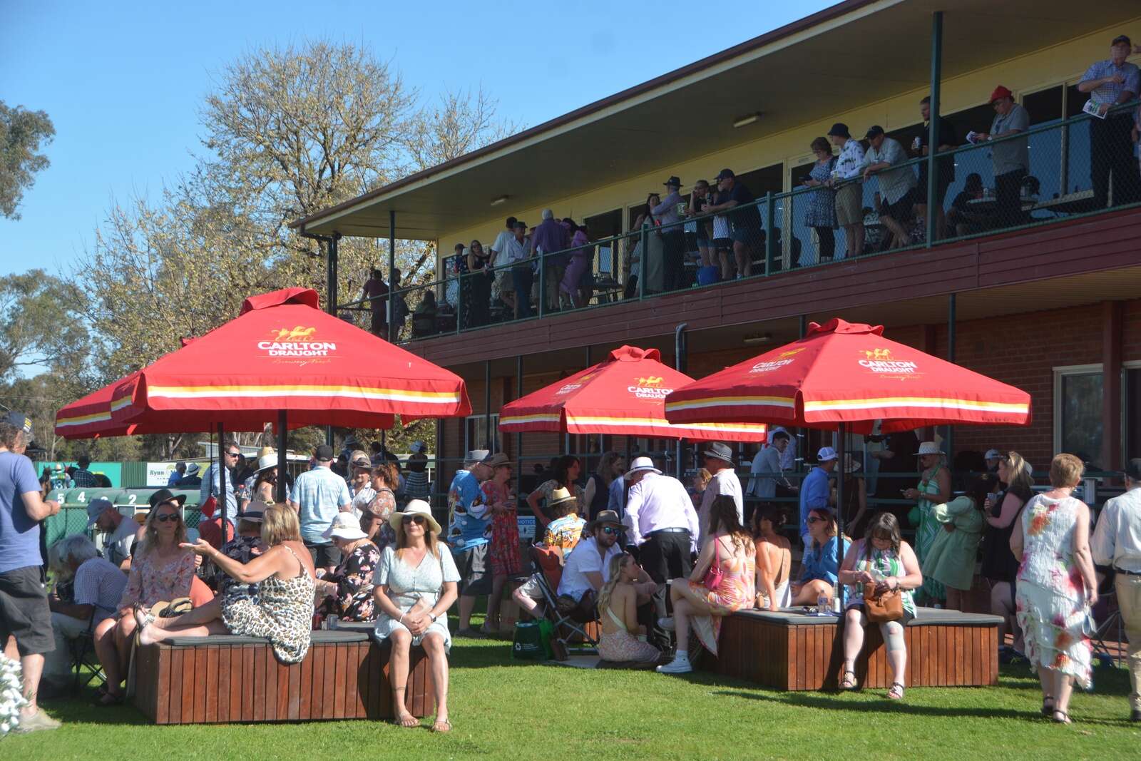 Yarrawonga Cup to cap off Benalla Festival in style | Benalla Ensign