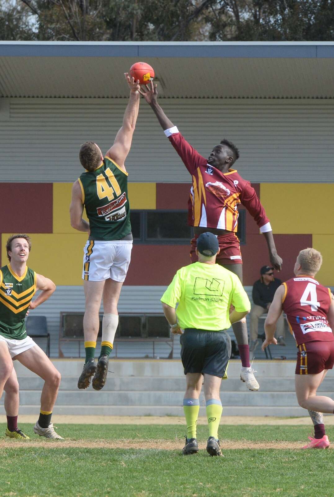 Bears flex muscles against humble Hoppers | Shepparton News