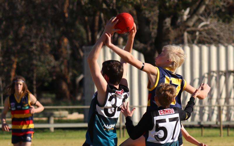 CDHBU Football | Corowa Free Press