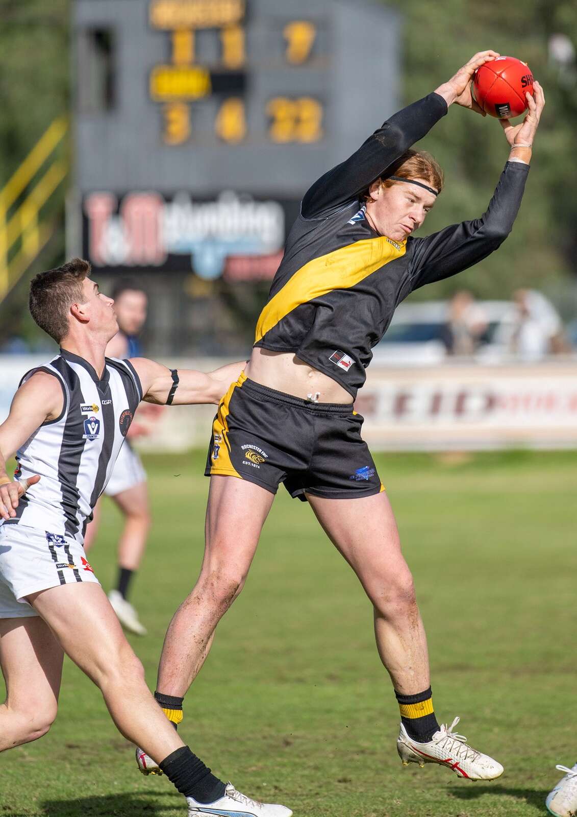 Tigers in mid-season ‘spoon battle’ | Country News