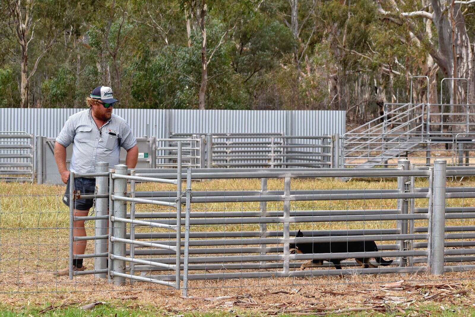 Ben, ‘Lucy’ dominate the comp. | Shepparton News