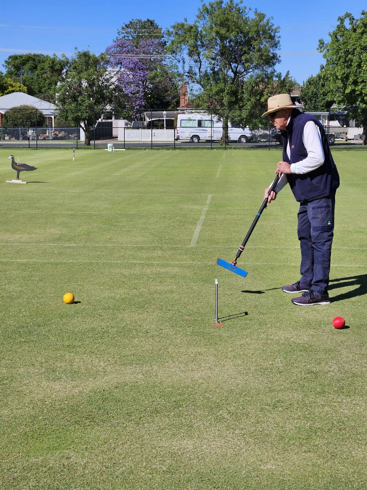 Croquet done and dusted | Shepparton News
