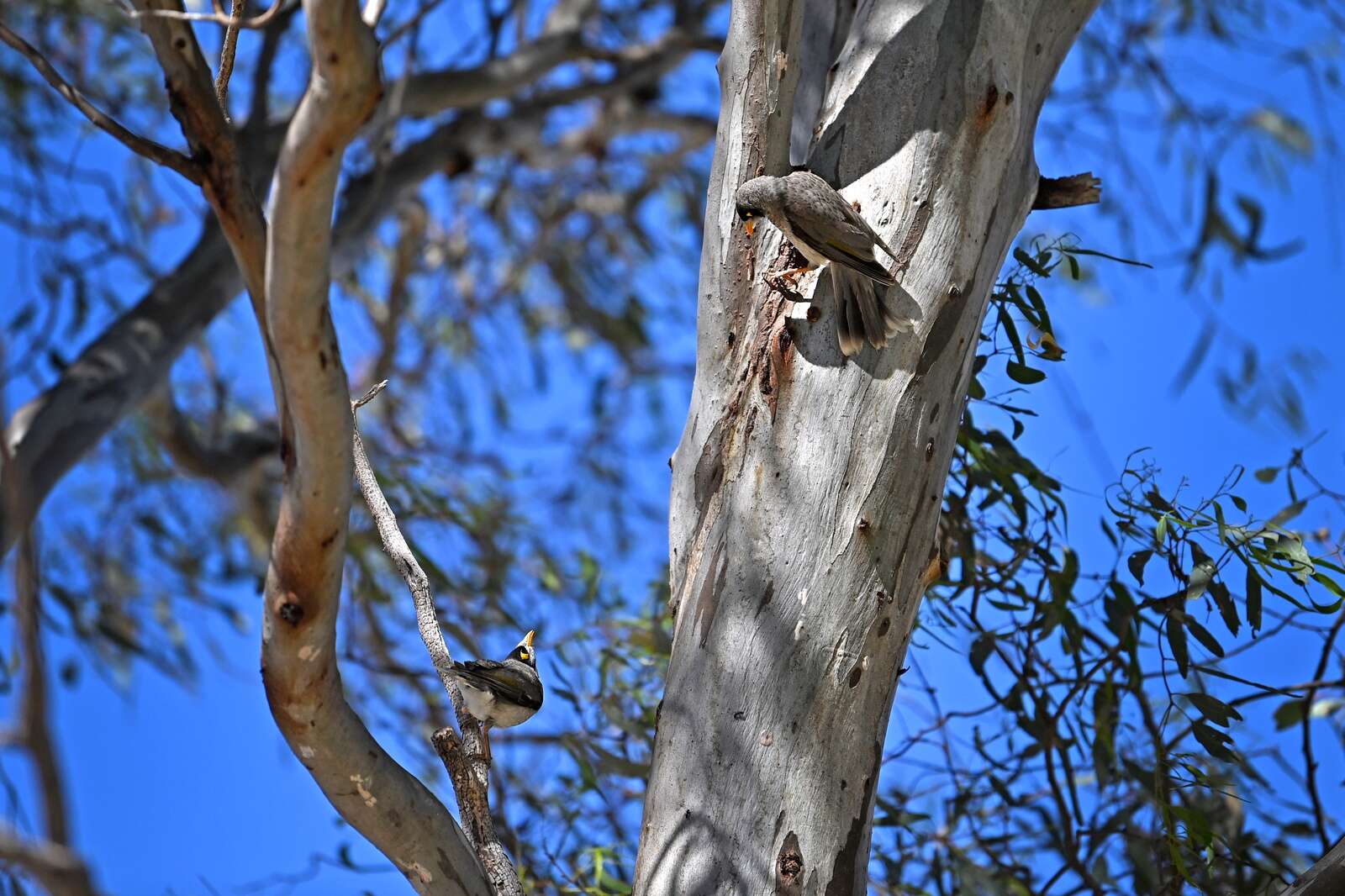 Saturday bulletin | See what’s on in sport and entertainment | Riverine ...