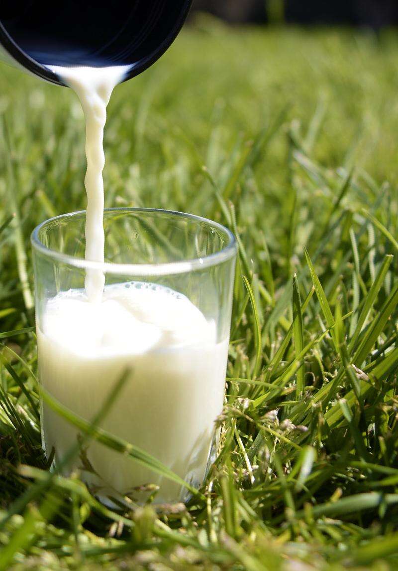 Opinion | Fresh milk for Queensland or not? | Dairy News Australia