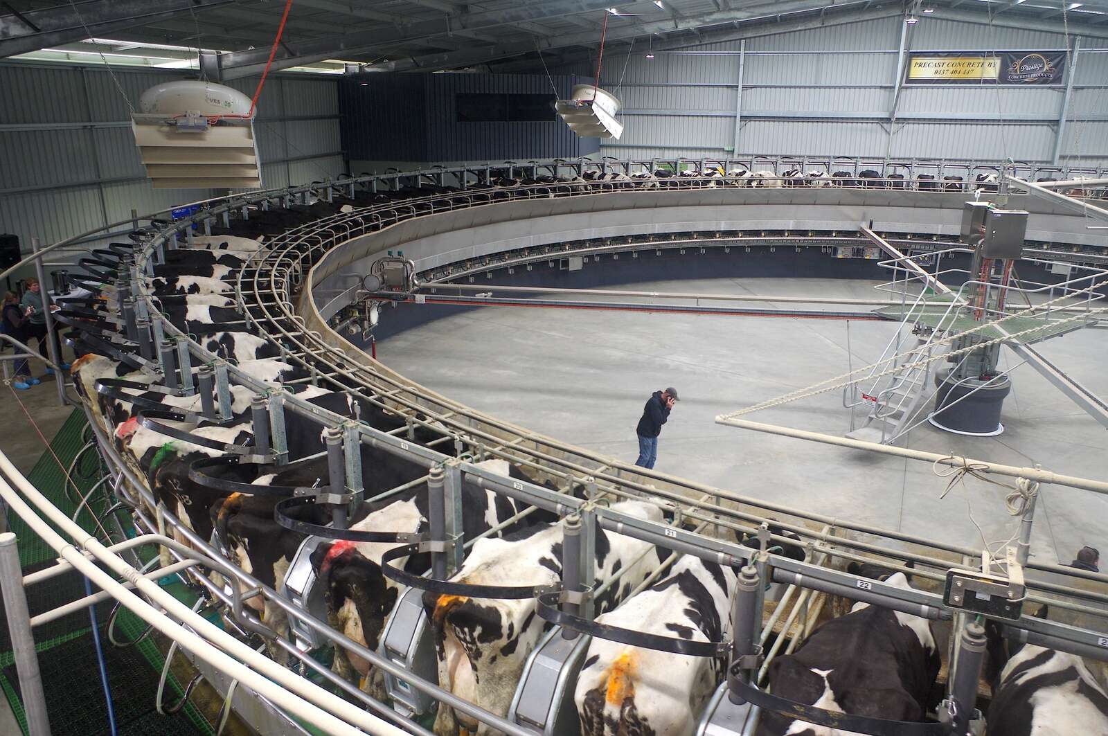 A 100-bail rotary dairy is an investment in the next generation | Dairy ...