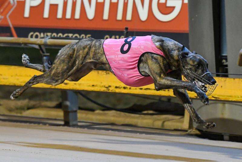 Shepp Cup preview | Shepparton News