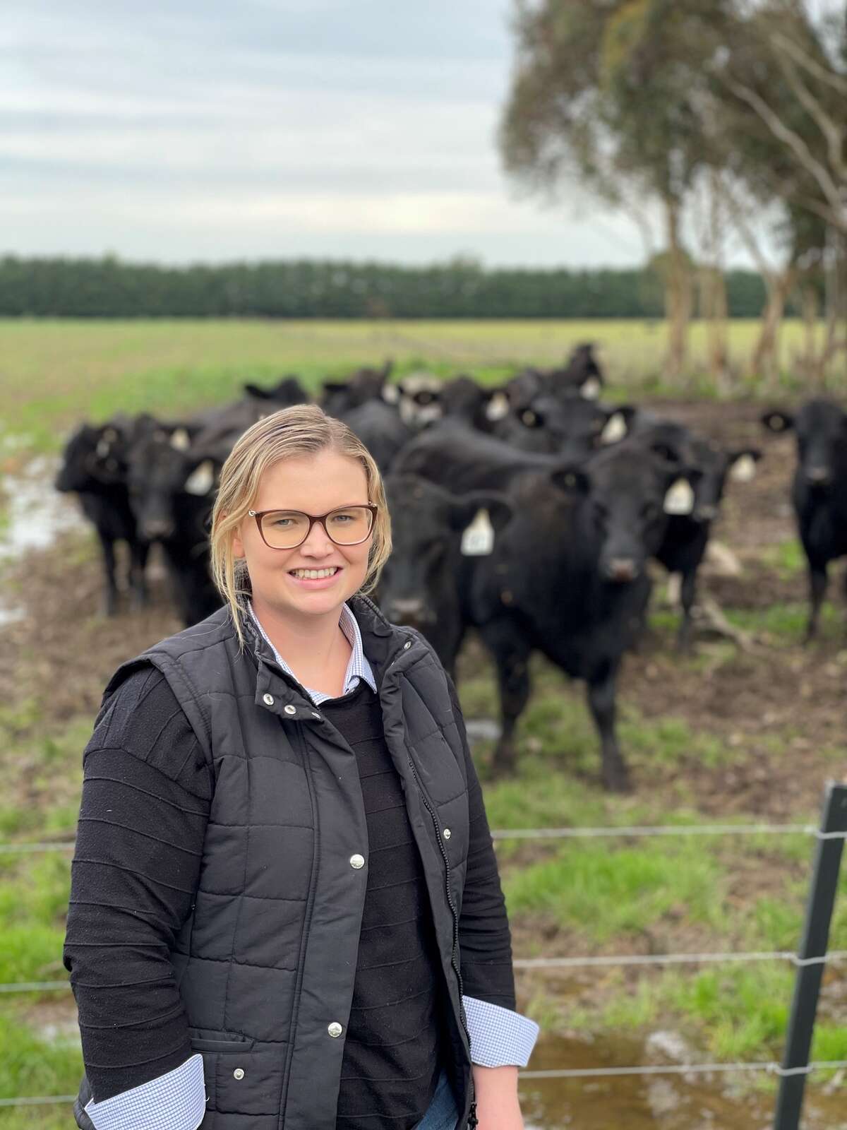 Studs open gates for Beef Week | Dairy News Australia
