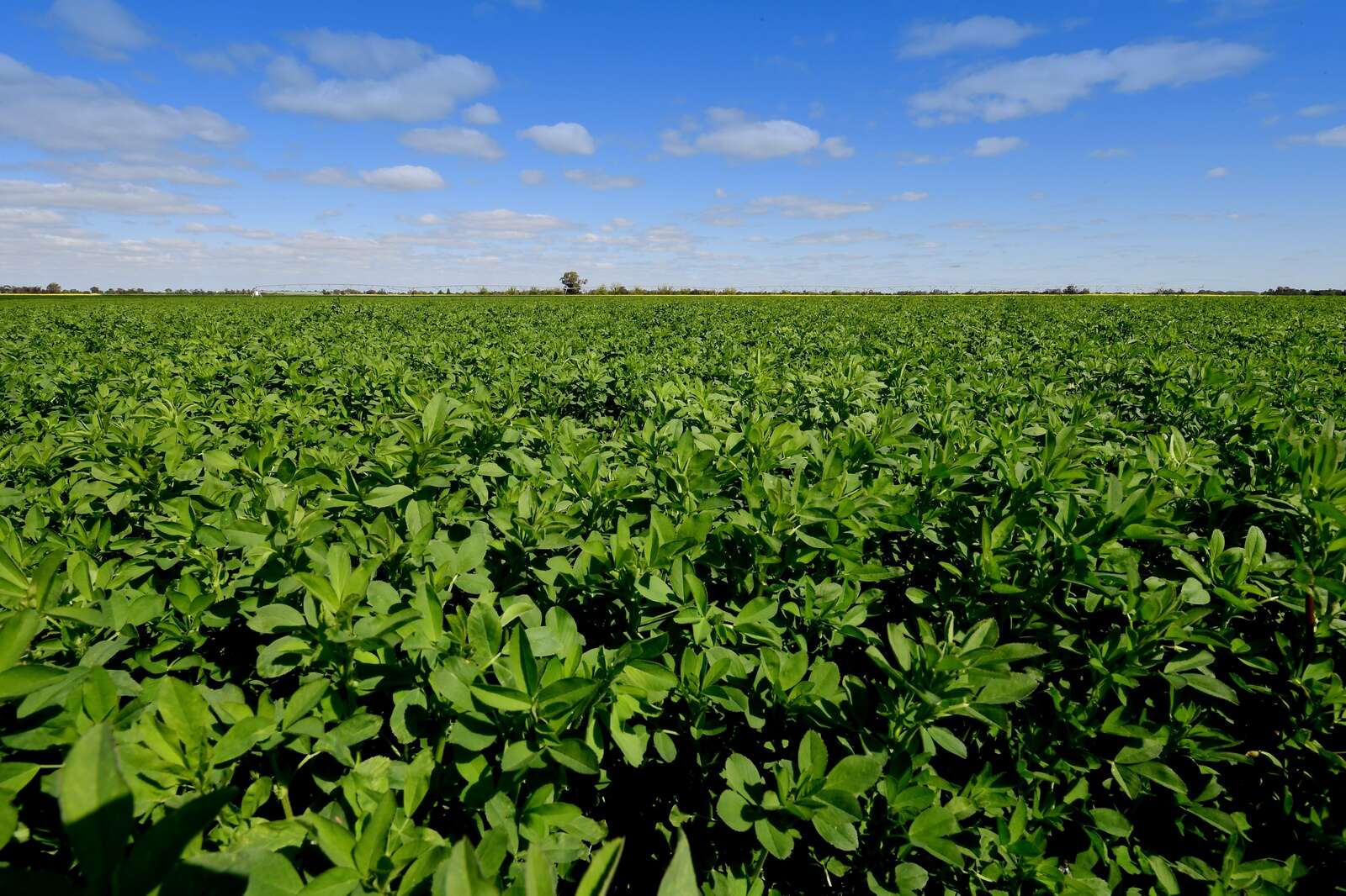 Faster access to ag chemicals | Country News