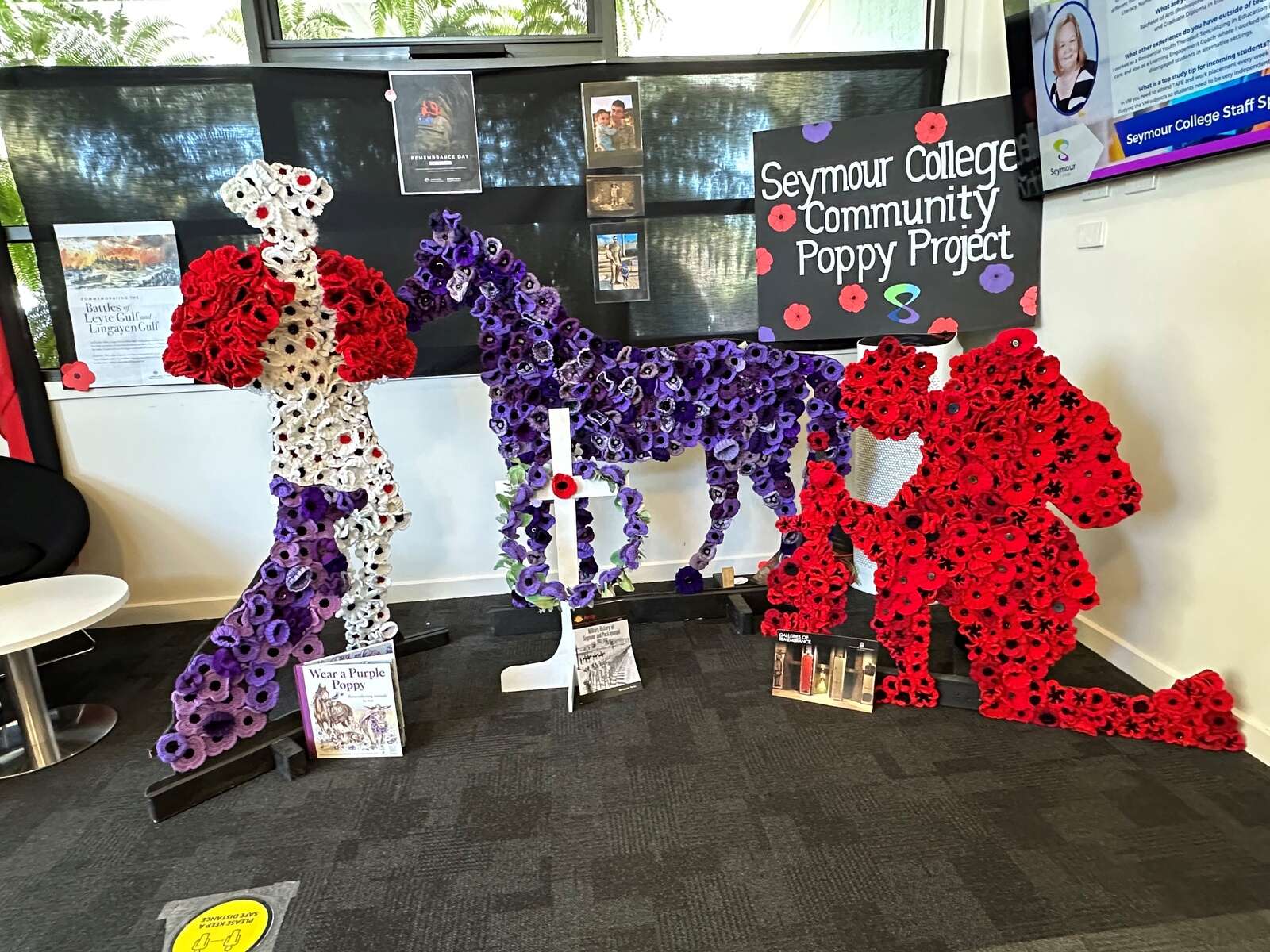 Discover the heartfelt tribute behind Seymour College’s Poppy Project ...